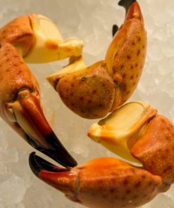 Key West Seafood Market Eaton Street Best Online Seafood Market