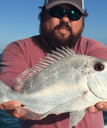 Barrel Fish Fillets - Always Fresh and Shipped Overnight