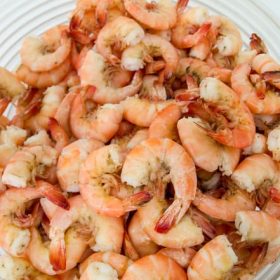 Fresh Conch for Sale With Fast Overnight Shipping